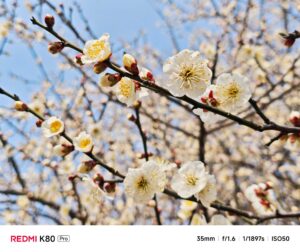 POCO F7 Ultra camera samples show that all cameras are good - XiaomiTime