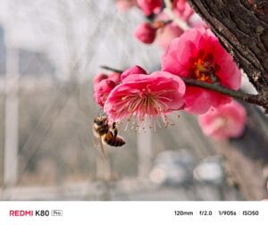 POCO F7 Ultra camera samples show that all cameras are good - XiaomiTime